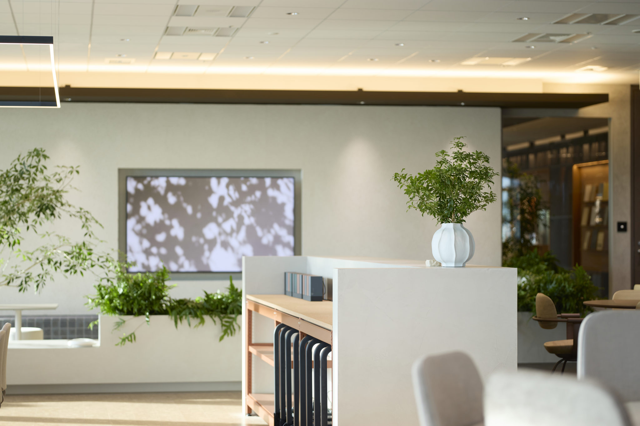 ITOKI DESIGN HOUSE｜WORKS｜株式会社グリーンディスプレイ｜植物を用いてオフィスや商空間をグリーン溢れる空間にデザイン